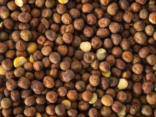 Topflite Maple Peas - 5kg | Bob & Ben The Pet Supplies Men